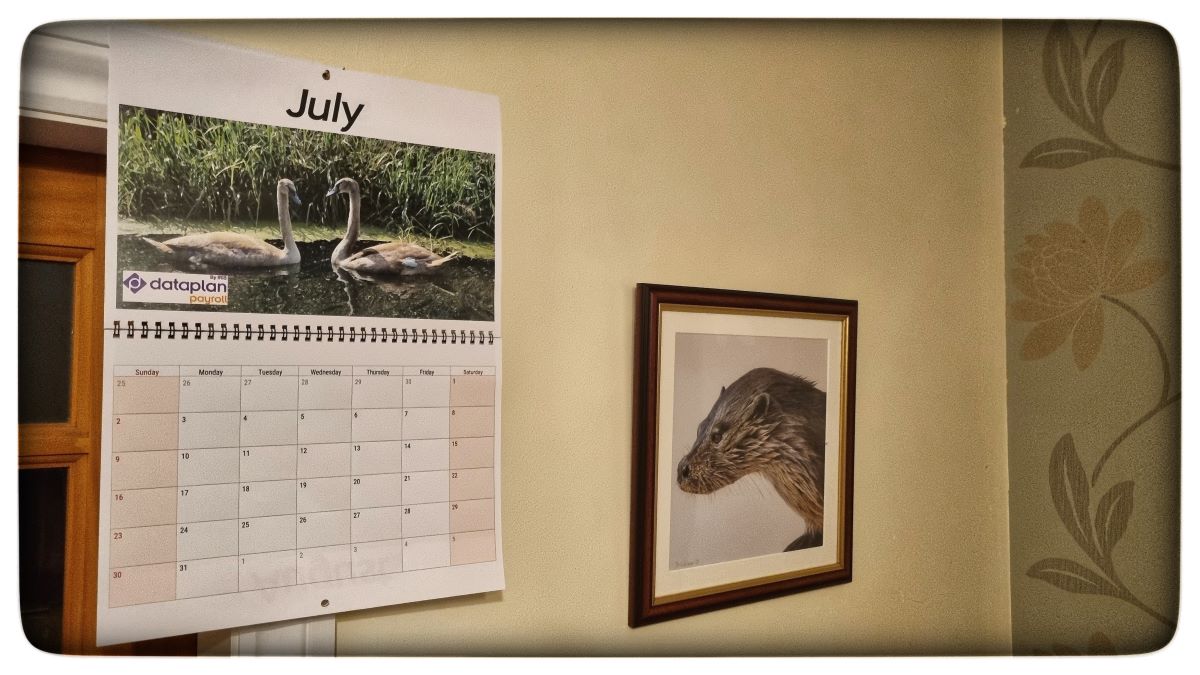 River Freshney Calendar 2023! - The Canoe River Cleaner